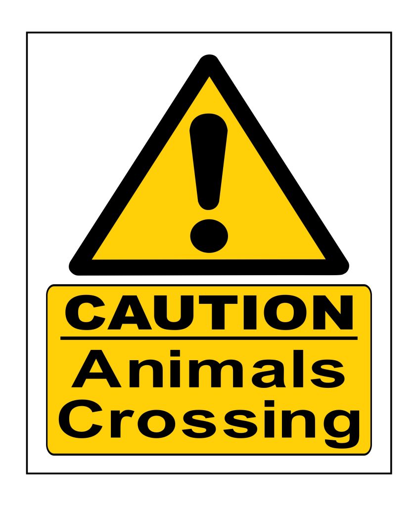 Caution Animals Crossing - Mac Safety Signs